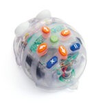 Blue-Bot Robot educativo de TTS - Comprar en España - Ultra-lab